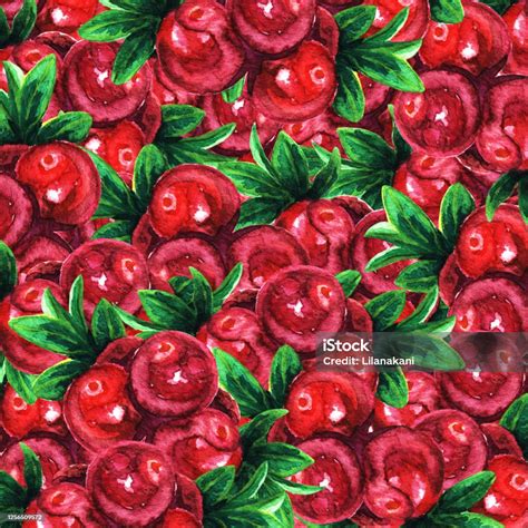 딸기로 가득 찬 크랜베리 배경 카우베리 수채화 패턴 베리 배경 일러스트레이션 일러스트레이션에 대한 스톡 벡터 아트 및 기타 이미지 일러스트레이션 크랜베리 0명