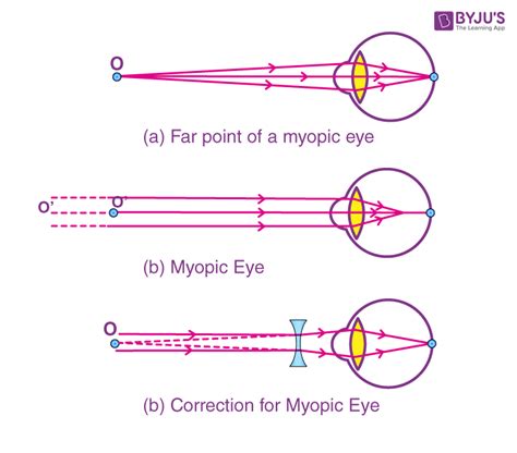 The Human Eye And The Colourful World Class 10 Chapter 11 Science Notes