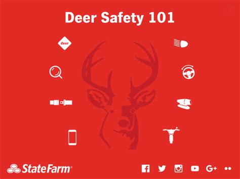Tips To Help Drivers Avoid A Collision With A Deer