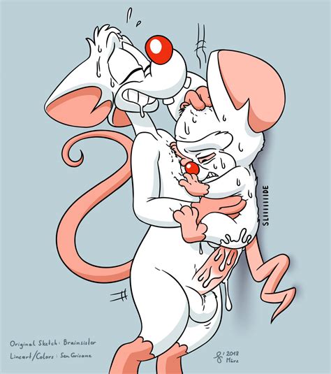Post Animaniacs Brain Brainbabe Pinky Pinky And The Brain SenGrisane