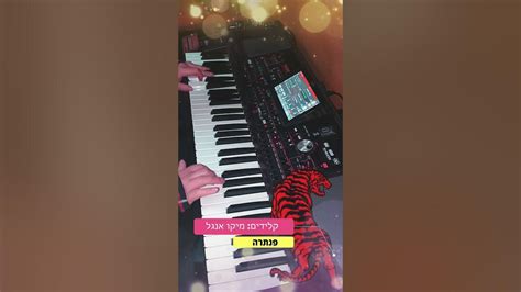 פנתרה אייל גולן קלידים מיקו אנגל Youtube