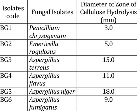 Cellulase Production By The Various Fungal Isolates Download
