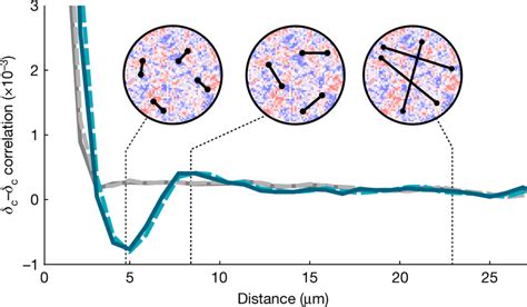 Correlation Function Of Fluctuations Before And After The Download Scientific Diagram