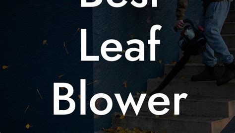 Best Leaf Blower Battery Powered Leaf Blower Hire Uk