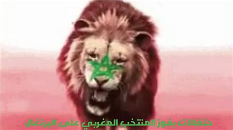 حتفالات ب الدخلة بفوز المنتخب المغربي على البرتغال Youtube