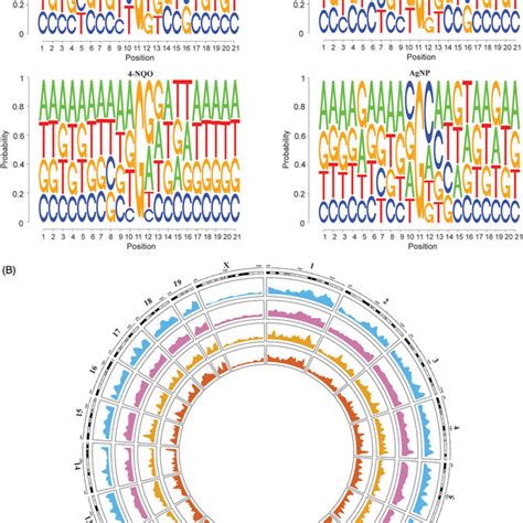 Mutation Sequencing Contexts And Distribution A Adjacent Sequence