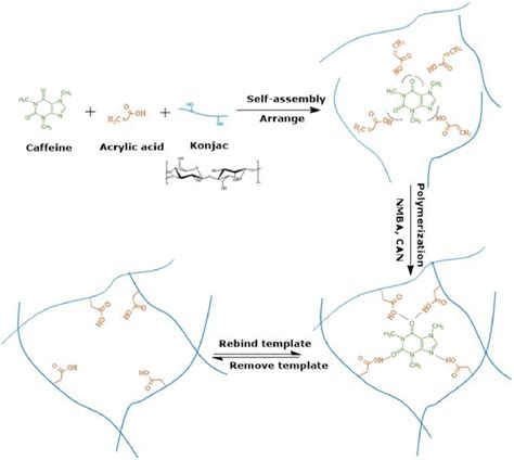 Preparation Process Of MIPs K G PAA Download Scientific Diagram