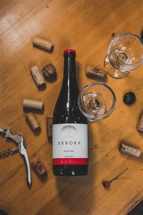 Pinot Noir Food Pairing Vino Critic