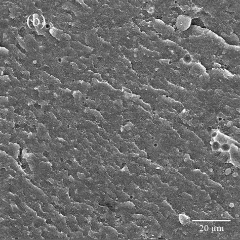 Sem Micrographs Of Fractured Surfaces A Pbt Tpu 80 20 B