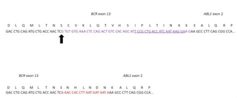 Sequence Of A Typical E13a2 Bcrabl1 Transcript A Arrow Depicts