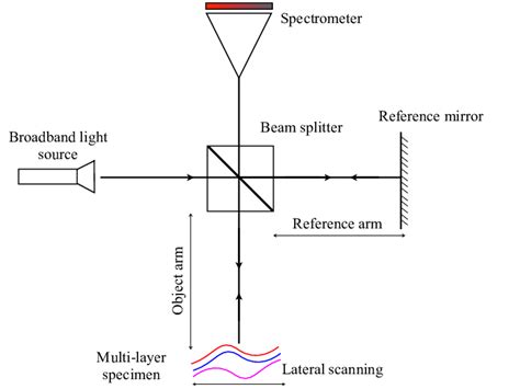 Schematic Of The Fourier Domain Optical Coherence Tomography System