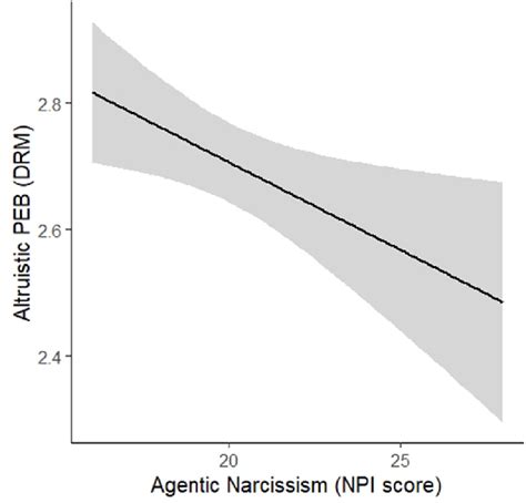 Hypothesis V Multilevel Model Indicating The Relation Of Agentic