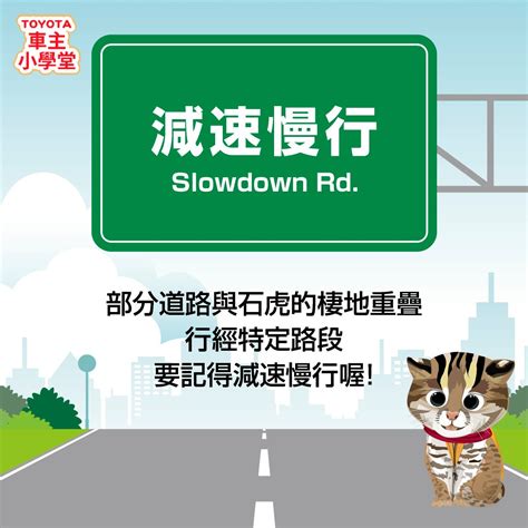 Toyota車主小學堂｜保護石虎可以怎麼做呢