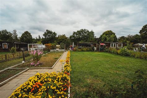 11 Unique Shed Design Ideas That Transform Forgotten Backyard Space