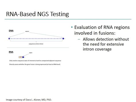 Emerging Targets For The Diagnosis Of Cancer Ppt Download