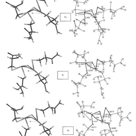 The Geometry Optimized Structure Of The Model In The Presence Of Download Scientific Diagram