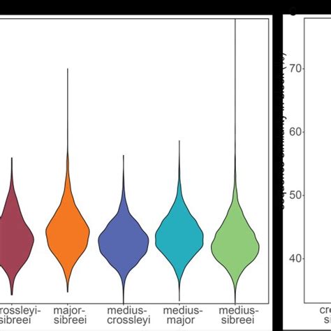 Ancient Introgression And Sequence Similarity Between C Sp Cf