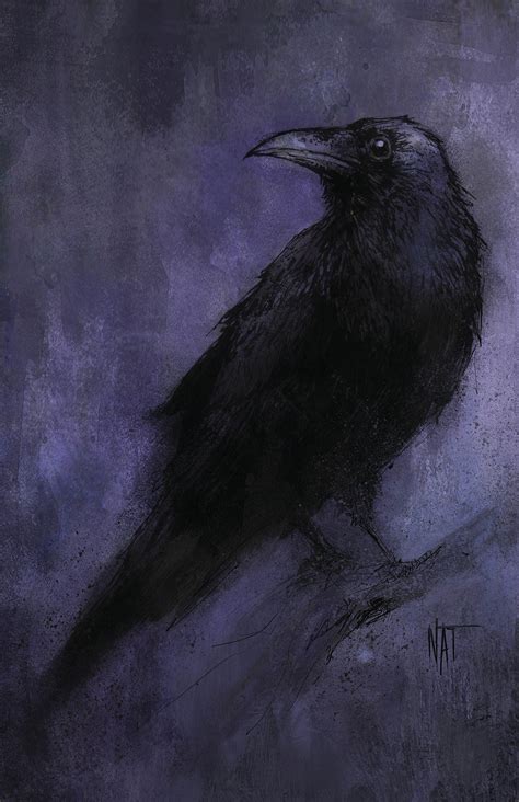Black Crow Art Mystic Crow Avatar Black Bird Profile Picture By