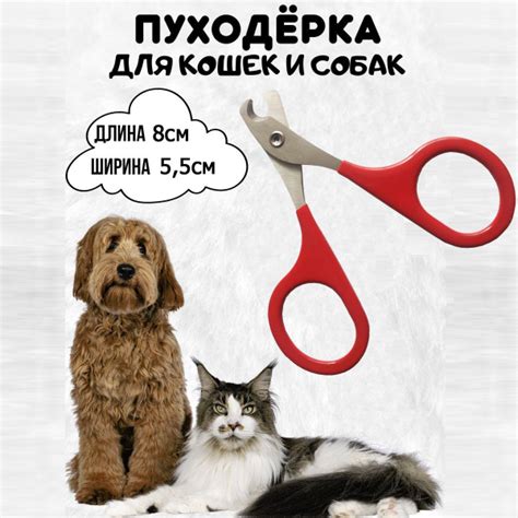 Когтерезка для собак мелких пород - купить с доставкой по выгодным ...