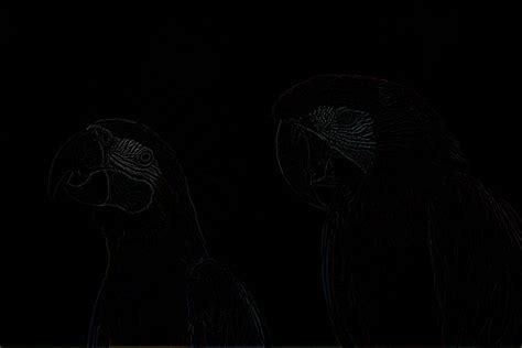 Opencv Csdn