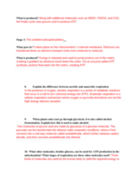 Cellular Respiration Worksheet Answer Key