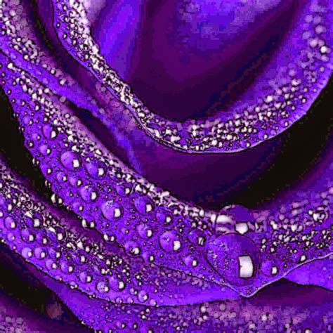 Honey Love Lashore Haskins Youtube