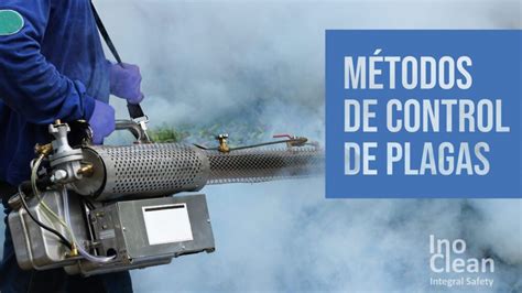 Trampas Para Insectos La Soluci N Efectiva Para Deshacerte De Plagas
