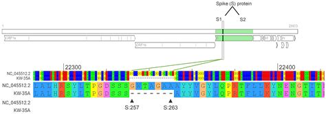 Strain Variation Based On Spike Glycoprotein Gene Of Sars Cov 2 In Kuwait From 2020 To 2021