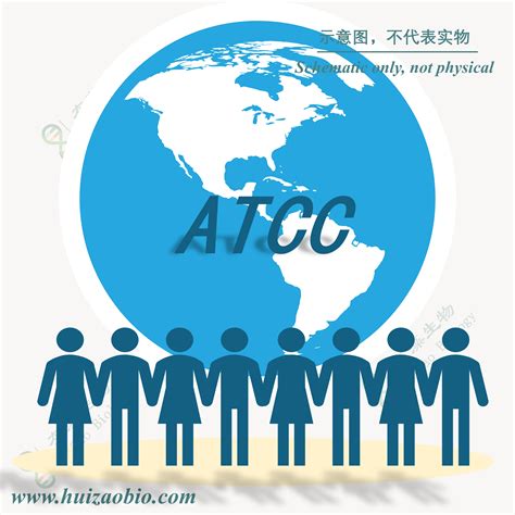 细长聚球藻atcc 33912 Synechococcus Elongatus Pcc 7942 Hzb369066 产品详情 灰藻生物