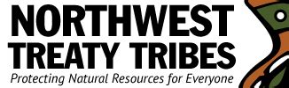 Jamestown Sklallam Tribe Continues Jimmeycomelately Restoration
