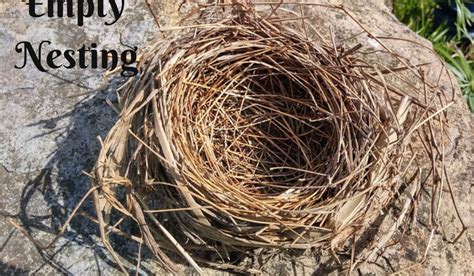 Harvest Lane Cottage Empty Nesting