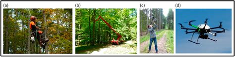 Remote Sensing Free Full Text Understanding Forest Health With Remote Sensing Part IIA