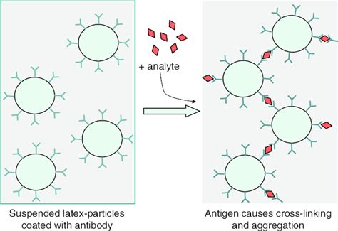 Monosaccharides Definition Structure Types Examples Artofit