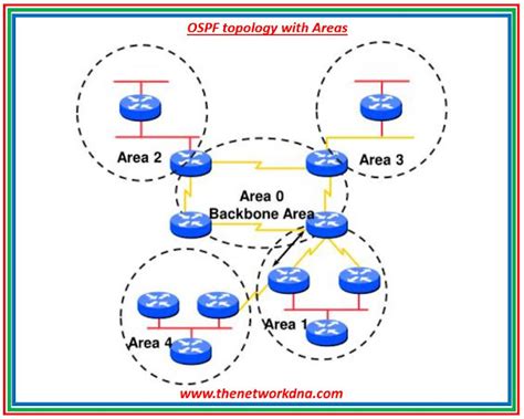 Top Ospf Protocol Interview Questions And Answers The Network Dna