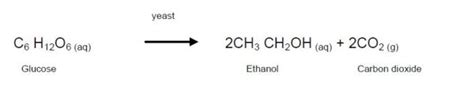 Savvy Chemist Alcohols 1 Fermentation
