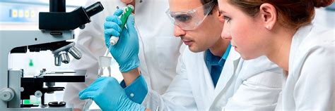 Центр сертификации продукции и услуг в Москве Получение сертификата ТС