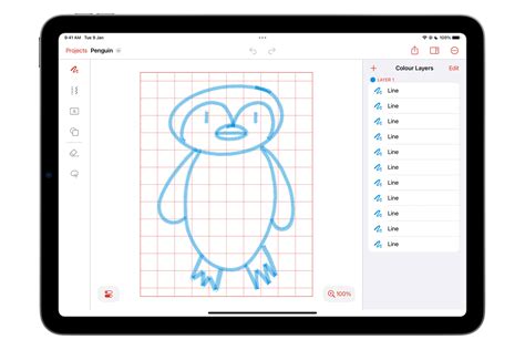 From Coding Novice To Tech Mentor An Inspiring Journey With Apples