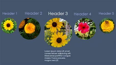 Make Powerpoint Carousel Effect By Rifatanwar Fiverr