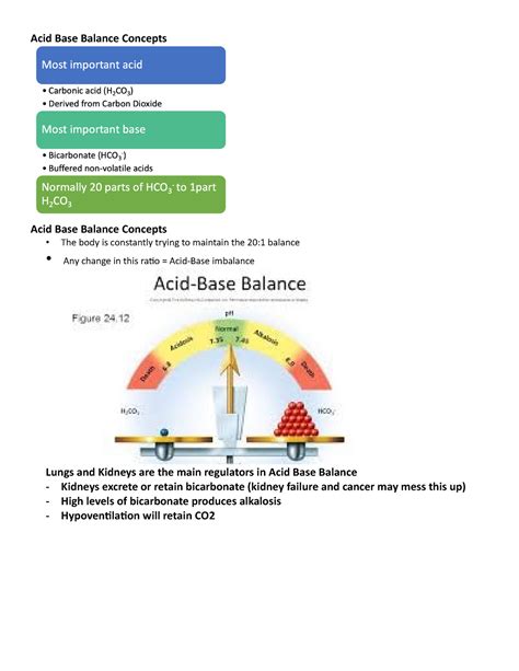 Acid Base Balance In The Body Acid Base Balance Concepts Acid Base