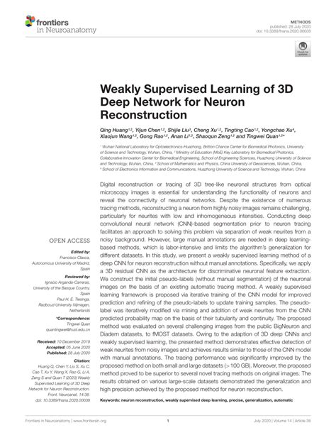 Pdf Weakly Supervised Learning Of D Deep Network For Neuron
