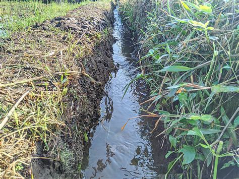 传统灌溉用于灌溉稻田