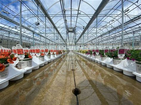 Flood Floor Systems For Greenhouses Sub Irrigation For Plant Growth