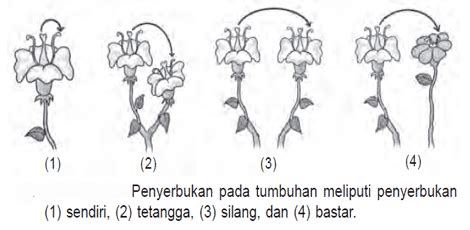 MAKALAH PERKEMBANGBIAKAN MAKHLUK HIDUP