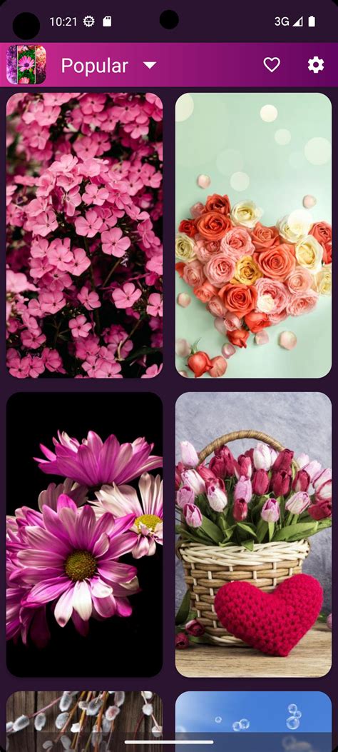 Flower Wallpapers 安卓apk下载 最新版本
