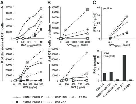 In Vitro Presentation Of Antigenic Peptides And Soluble Ova Protein By