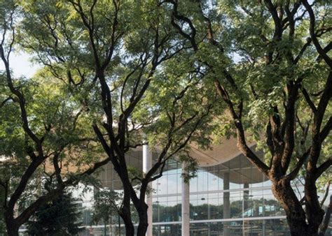 Foster Partners Complete The Glass And Concrete Buenos Aires New City