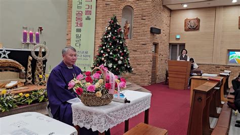 Daum 카페