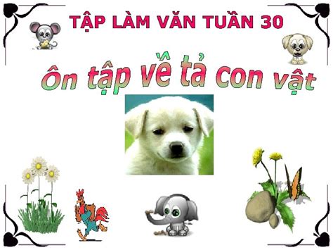 Tp Lm Vn N Tp V T Con