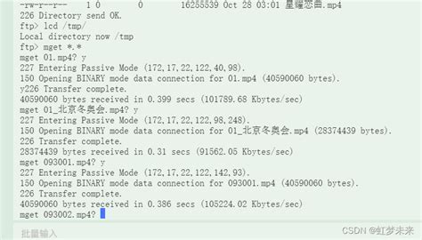 【运维心得】ftp命令行使用ftp Rename Csdn博客