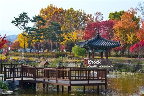 가을 나무로 둘러싸인 아름다운 한국 스타일의 파빌리온 0명에 대한 스톡 사진 및 기타 이미지 0명 가을 강 Istock
